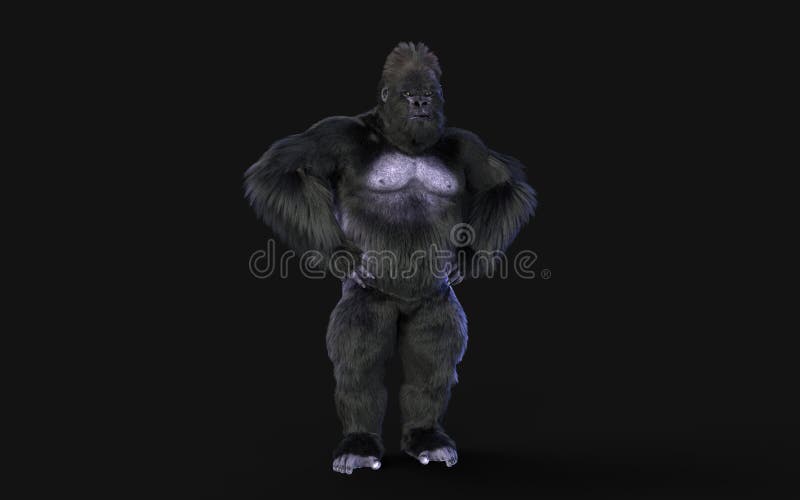 Silverback Gorilla Stock Illustrations – 1,411 Silverback Gorilla Stock ...