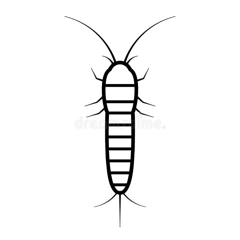 Silverfish Bug Stock Illustrations – 343 Silverfish Bug Stock ...