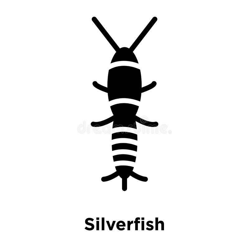Silverfish Icon Vector Isolated on White Background, Logo Concept of ... Silverfish Icon Vector Isolated on White Background, Logo Concept of ...