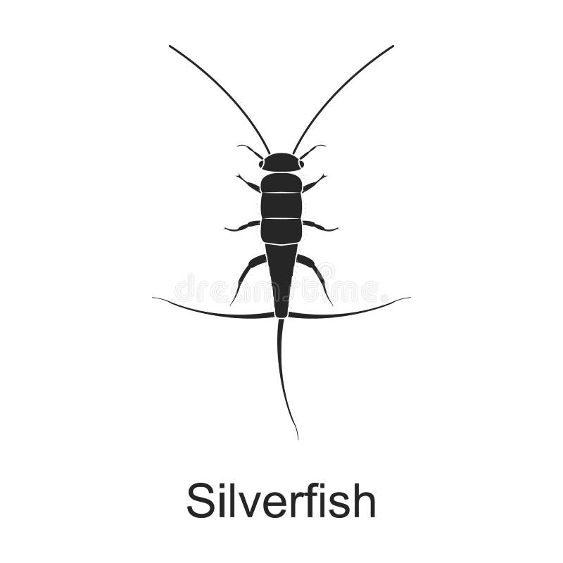 Silverfish Vector Stock Illustrations – 294 Silverfish Vector Stock ...