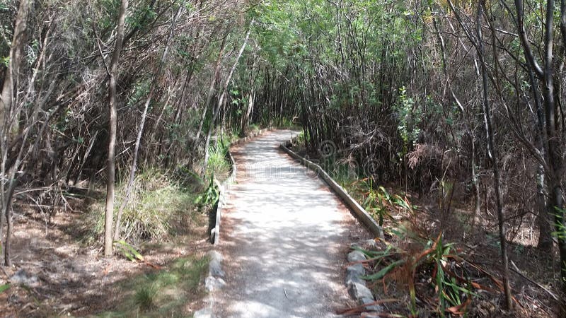 Silvermine stock photo. Image of silvermine, areas, nature - 48542354