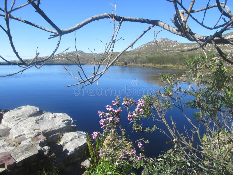 Silvermine Dam stock photo. Image of mountain, wetland - 229346310
