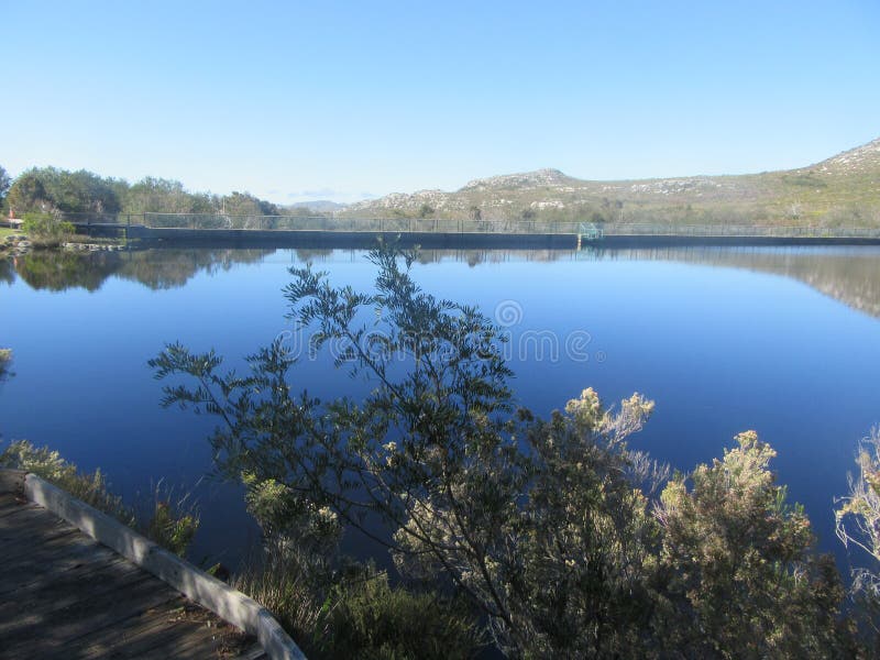 Silvermine Dam stock photo. Image of tree, nature, river - 229346318