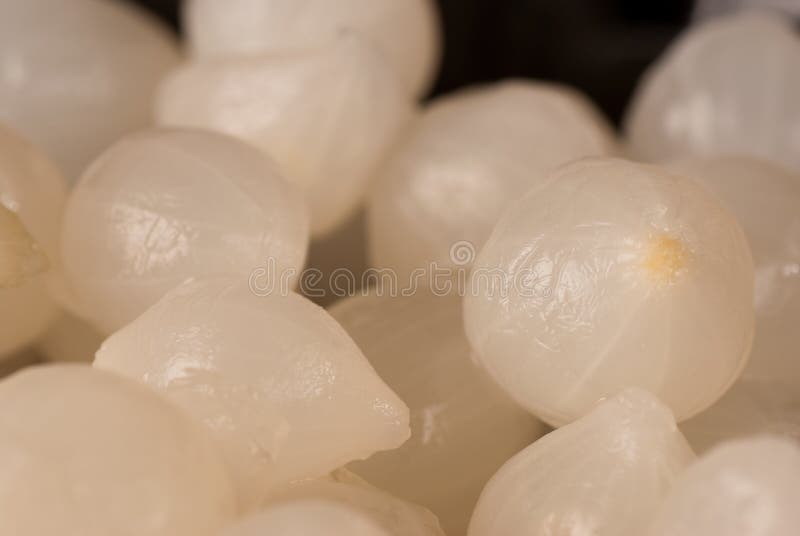 Silverskin onions stock image. Image of fresh, peeled - 17329679