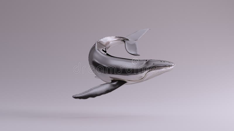 Silverbuckelval stock illustrationer. Illustration av isolerat - 185250101