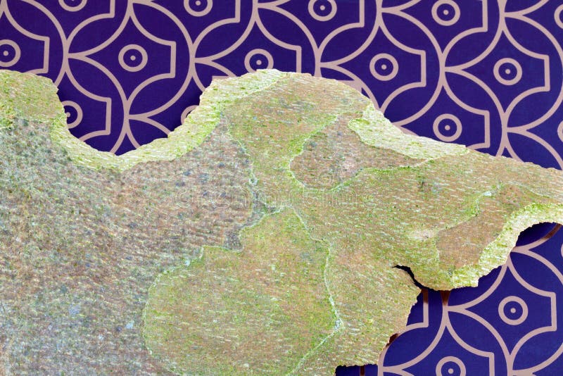 Silvery Tree Bark on Blue and Gold Patterned Paper Stock Image - Image ...