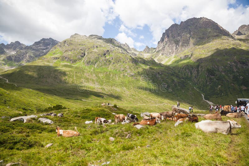 Silvretta editorial stock image. Image of tyrol, vorarlberg - 97899839