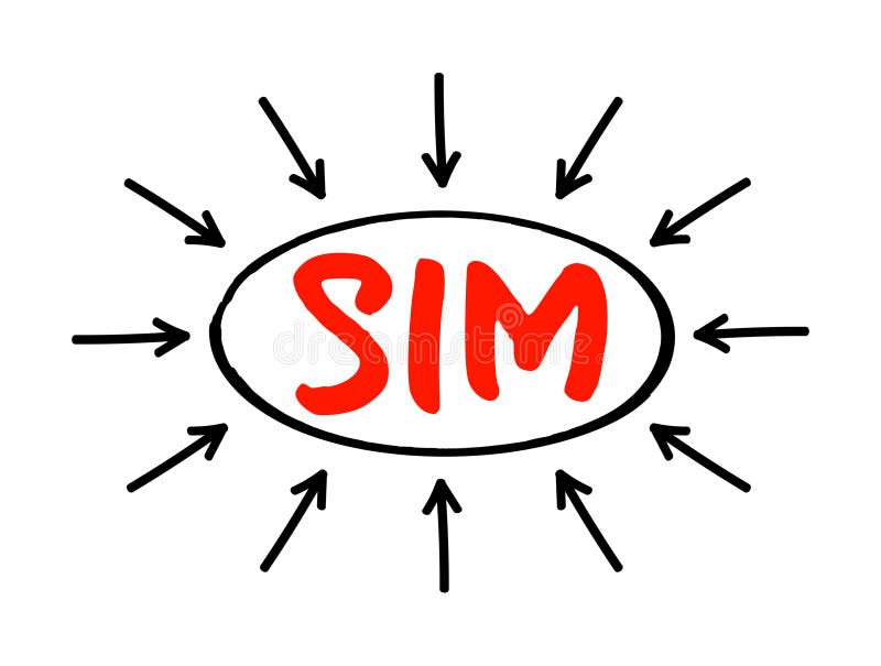 SIM Subscriber Identification Module - Removable Smart Card for Mobile ...