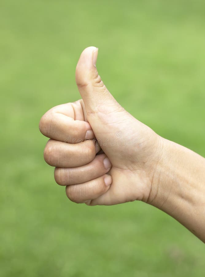 Simboli Della Mano Del Pollice Della Mano Immagine Stock - Immagine di ...