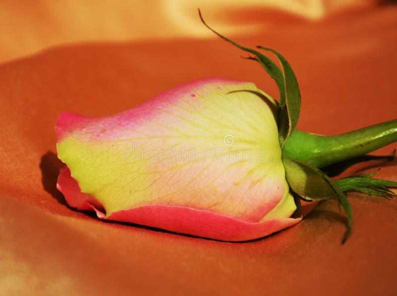 Simbolo di rispetto fotografia stock. Immagine di rapporto - 88189740