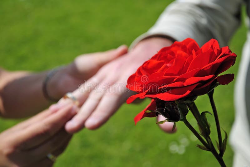 Simbolo di unione di amore immagine stock. Immagine di chiesa - 14865203