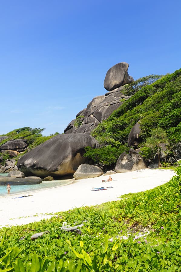 Similan Islands Beach in Southern Thailand Stock Image - Image of relax ...