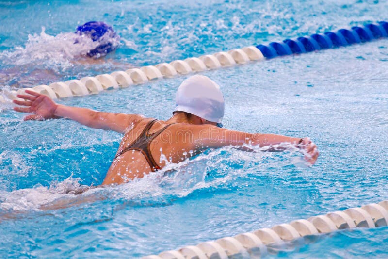 Simmare fotografering för bildbyråer. Bild av fjäril - 20093805