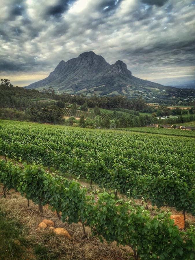 The Simonsberg Mountain in the Western Cape South Africa Stock Image ...