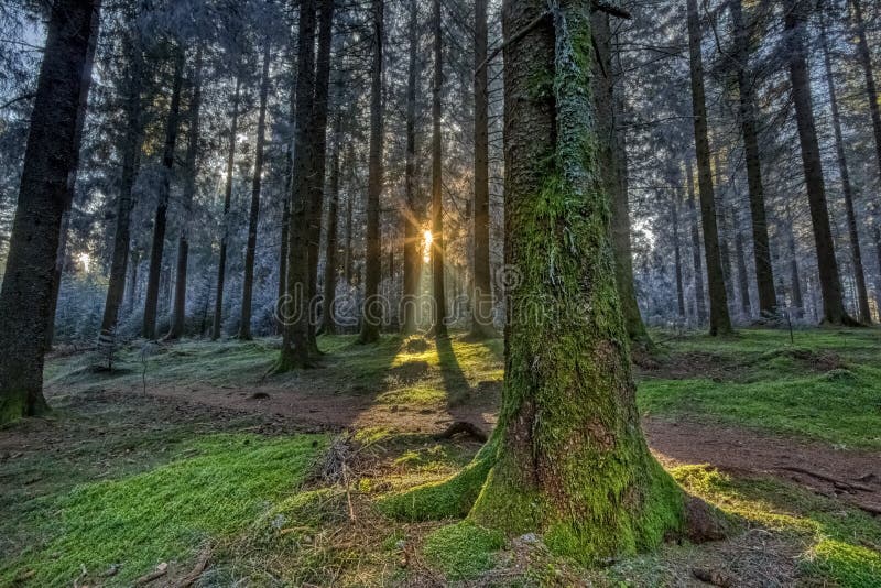 Simonswald in Black Forest Germany Path Stock Image - Image of cold ...