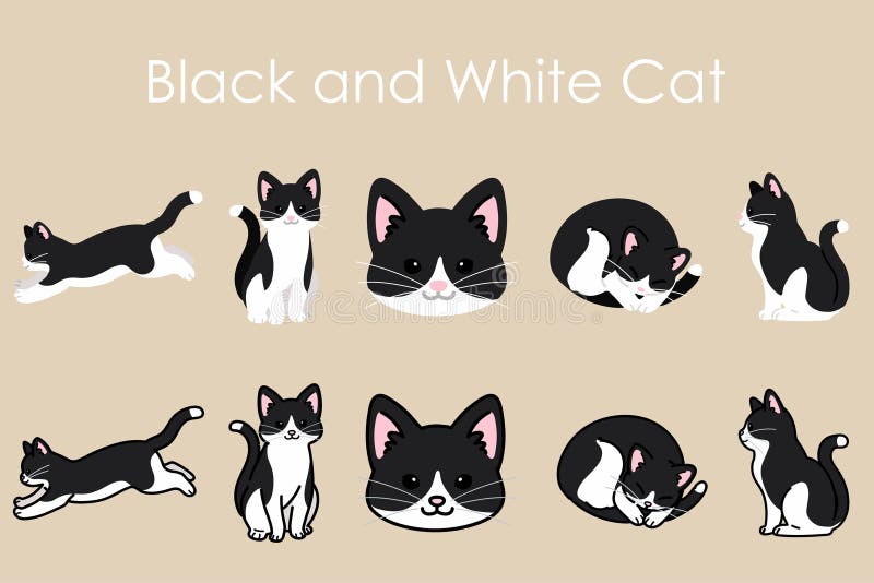 Simple and Adorable Black and White Cat Illustrations Set Stock Vector ...