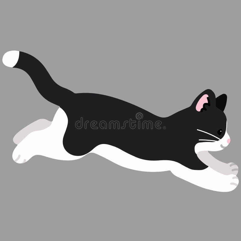 Simple and Adorable Black and White Cat Jumping in Side View Flat ...