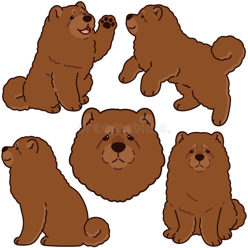 Simple and Adorable Brown Chow Chow Dog Illustrations Stock ...