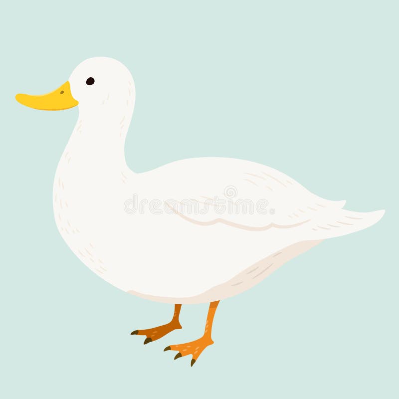 Simple and Adorable Flat Colored White Duck Illustration Stock Vector ...