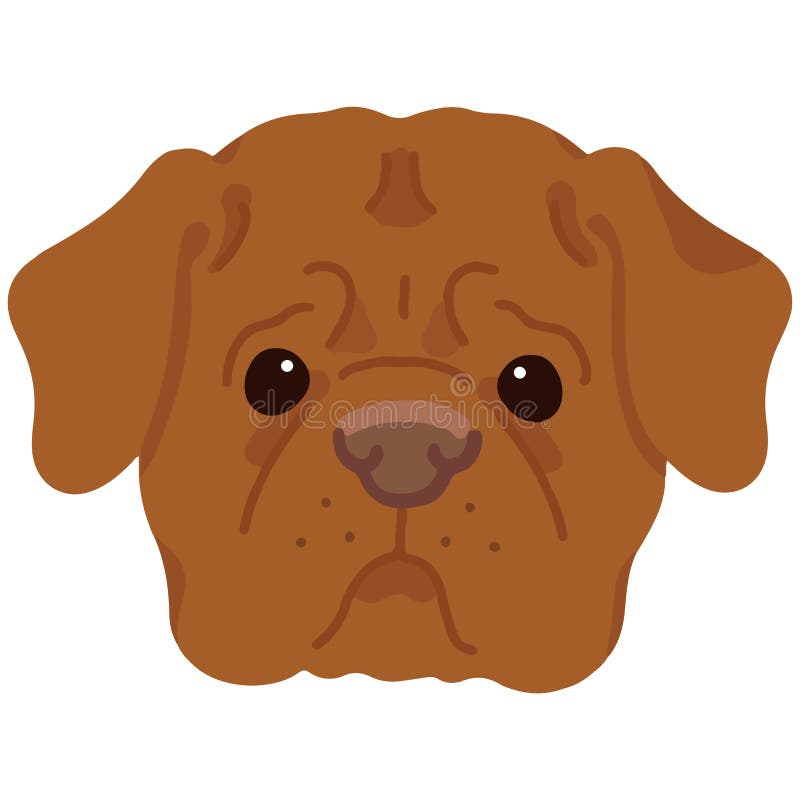 Simple and Adorable French Mastiff Illustration Front Face Flat Colored ...