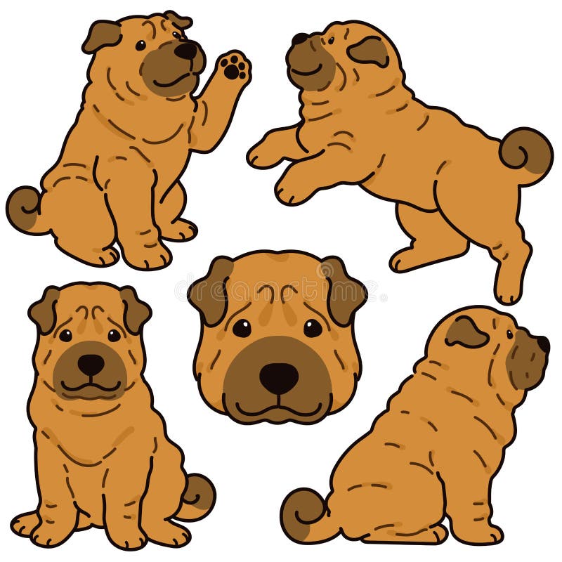 Simple and Adorable Illustrations of Shar-Pei Dog Stock Vector ...