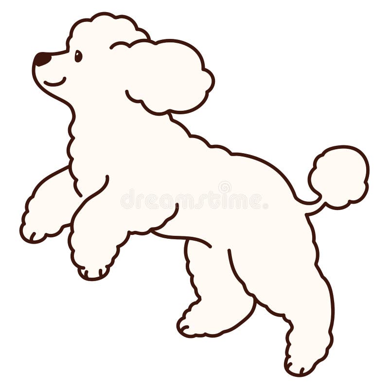 Simple and Adorable Jumping White Colored Poodle Dog Illustration Stock ...