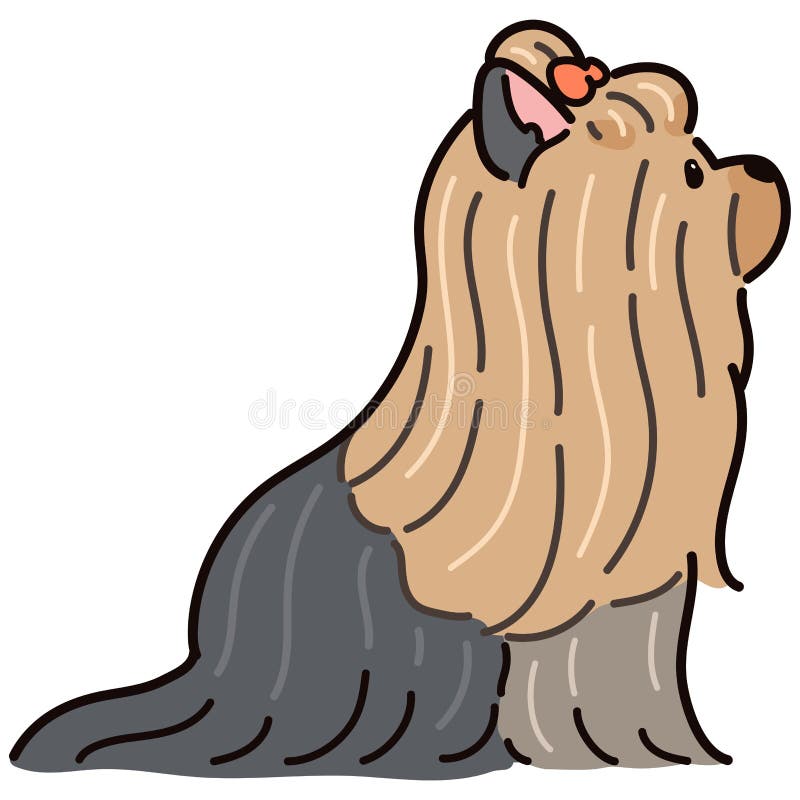 Yorkshire Terrier Side Stock Illustrations – 137 Yorkshire Terrier Side ...