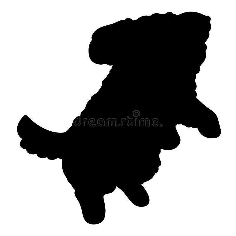 Maltese Dog Silhouette Stock Illustrations – 110 Maltese Dog Silhouette ...