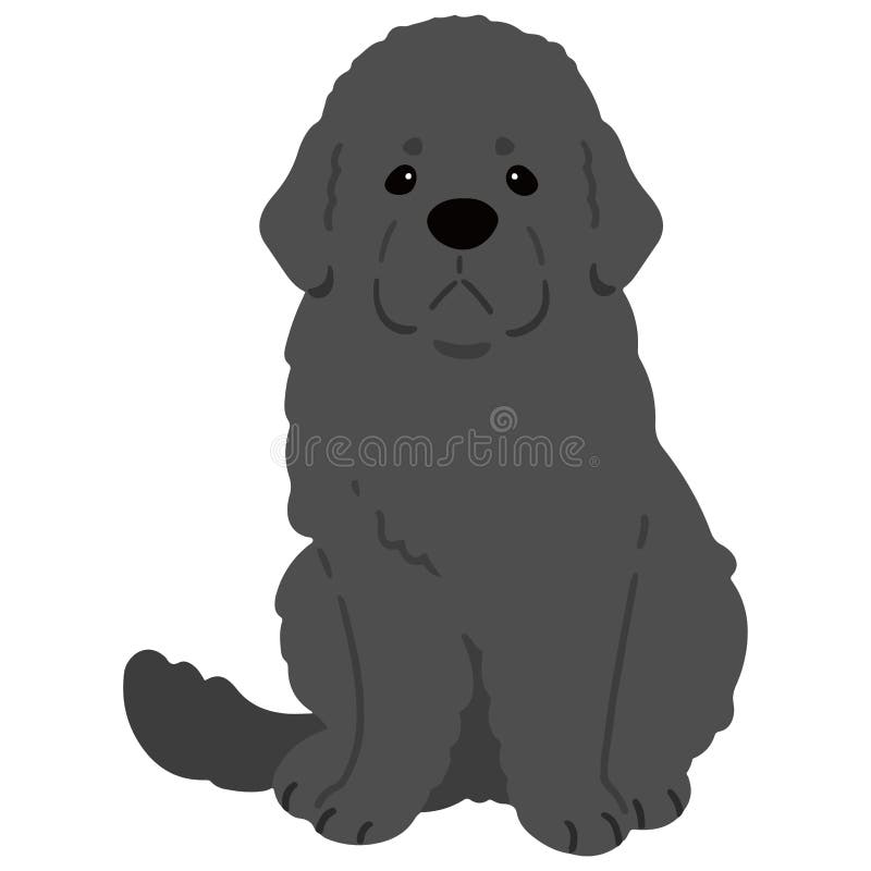 Simple and Adorable Newfoundland Dog Illustration Sitting in Front View ...