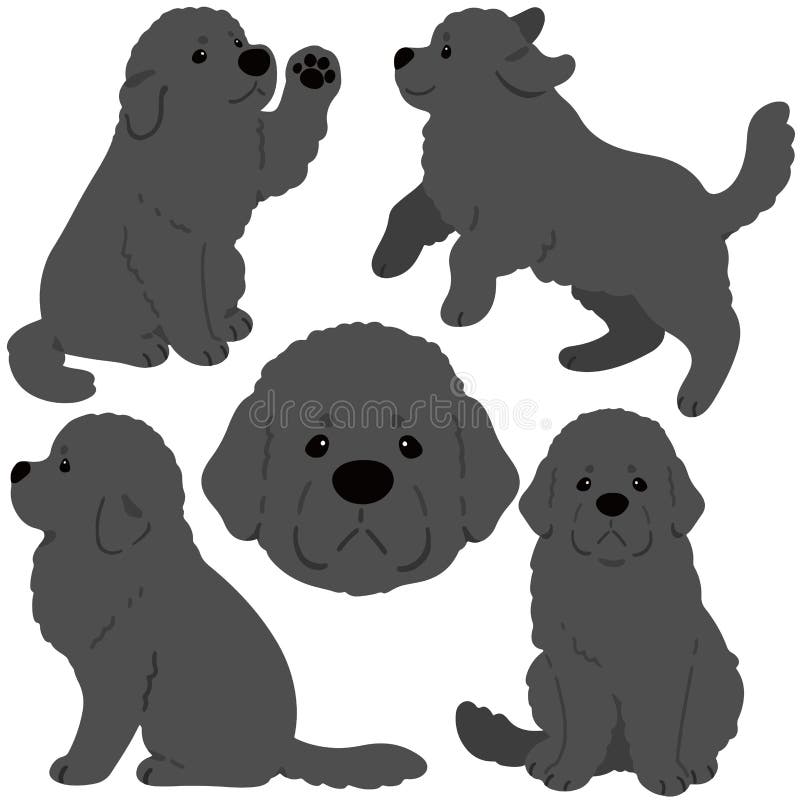 Simple and Adorable Newfoundland Dog Illustrations Flat Colored Stock ...