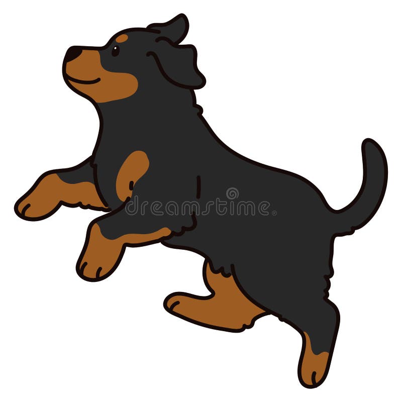 Simple and Adorable Rottweiler Dog Illustration Jumping Stock Vector ...