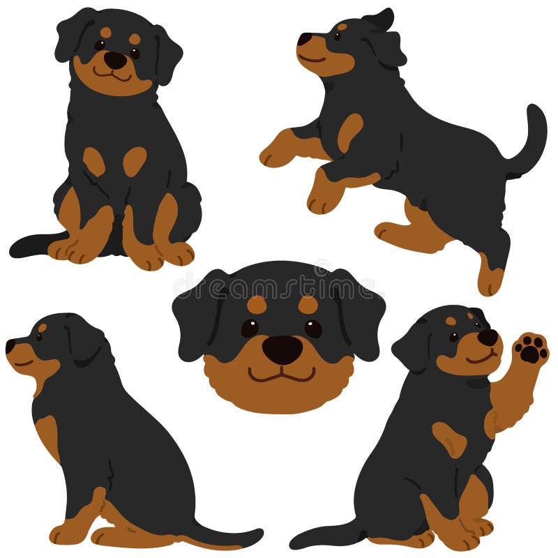 Simple and Adorable Rottweiler Dog Illustrations Flat Colored Stock ...