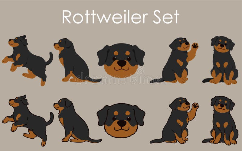 Simple and Adorable Rottweiler Set Illustrations Stock Vector ...