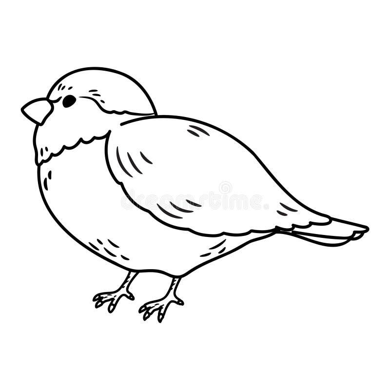Simple and Adorable Sparrow Illustration with only Outlines Stock ...