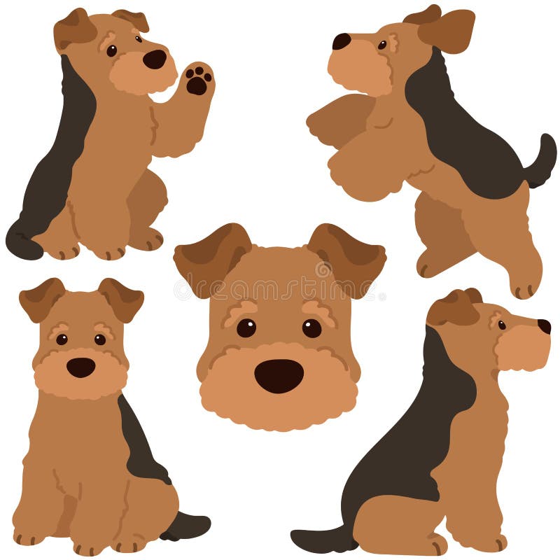 Simple and Adorable Welsh Terrier Illustrations Flat Colored Stock ...