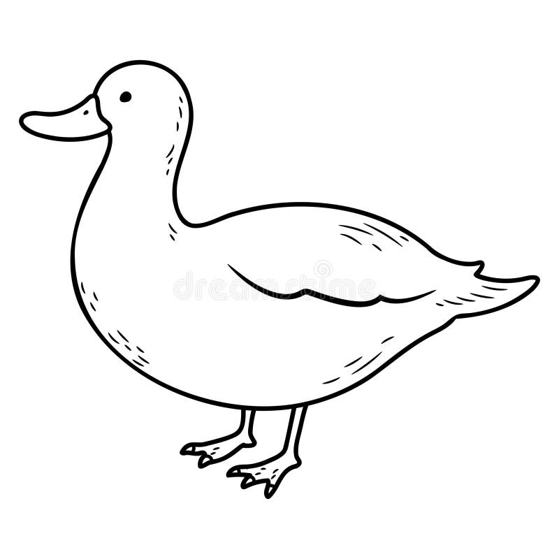 Simple and Adorable White Duck Illustration with only Outlines Stock ...