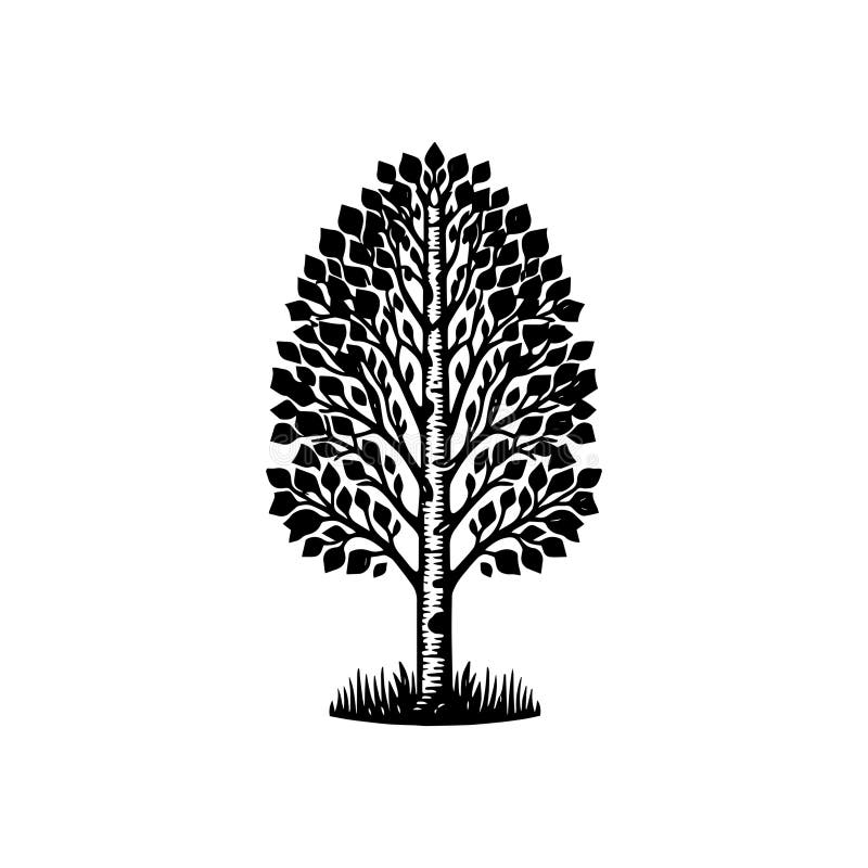 Aspen Tree Front View Retro Vintage Logo Illustration. Stock Vector ...