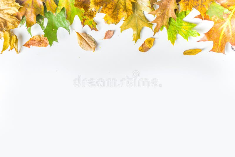 Autumn Leaves and Pumpkins Flatlay Background Stock Photo - Image of ...