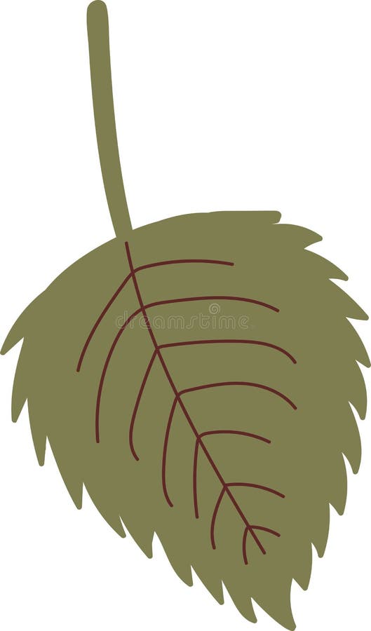 Simple Autumn Leaf. Autumn Design Element in Green. Isolated Vector ...