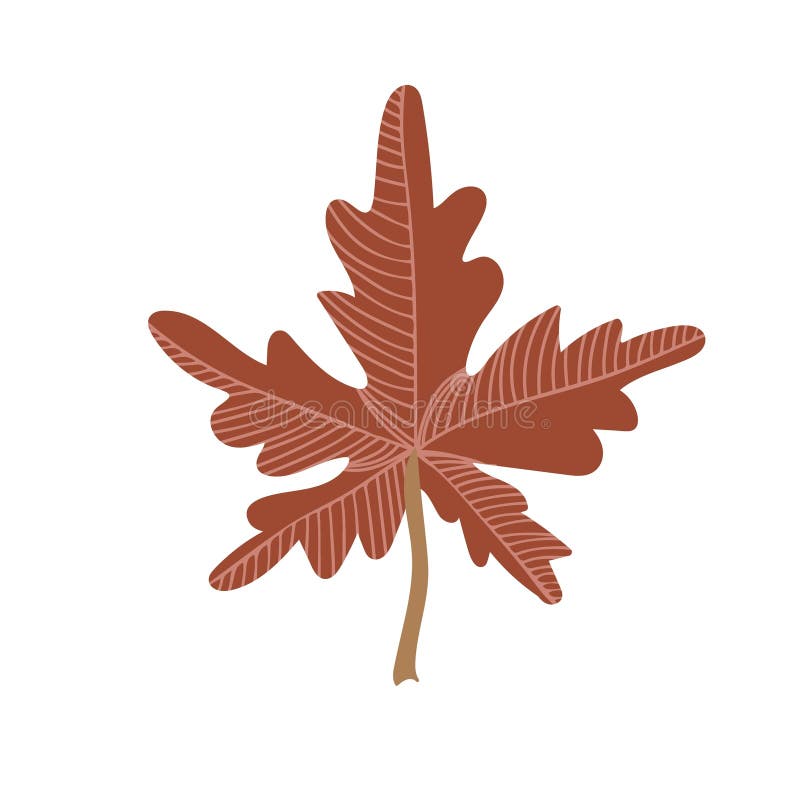 Simple Autumn Maple Leaf. Hand Drawn Element for Autumn Decorative ...