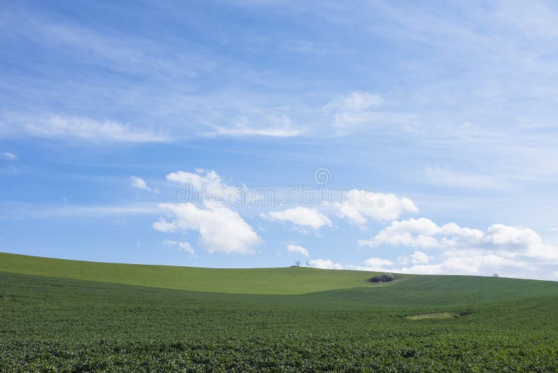 Simple Background Horizontal Stock Photo - Image of nature, horizon ...