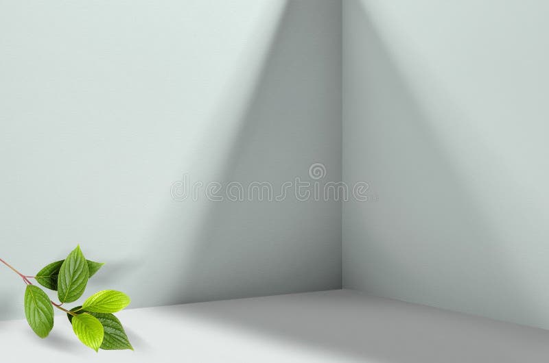 Simple Background Image - Perspective of Corner of Room with Shadows ...