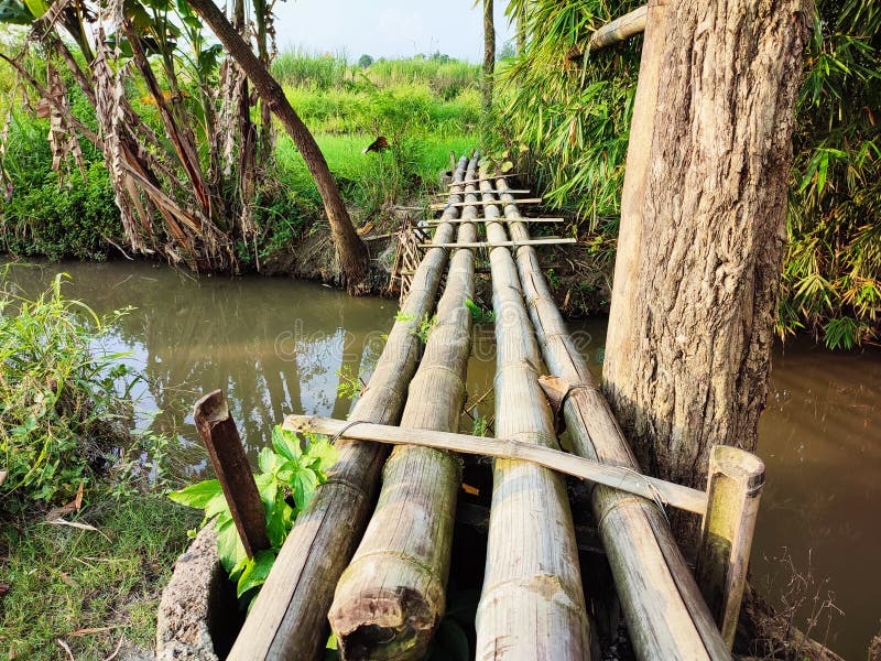 Simple bamboo bridge over a small river
