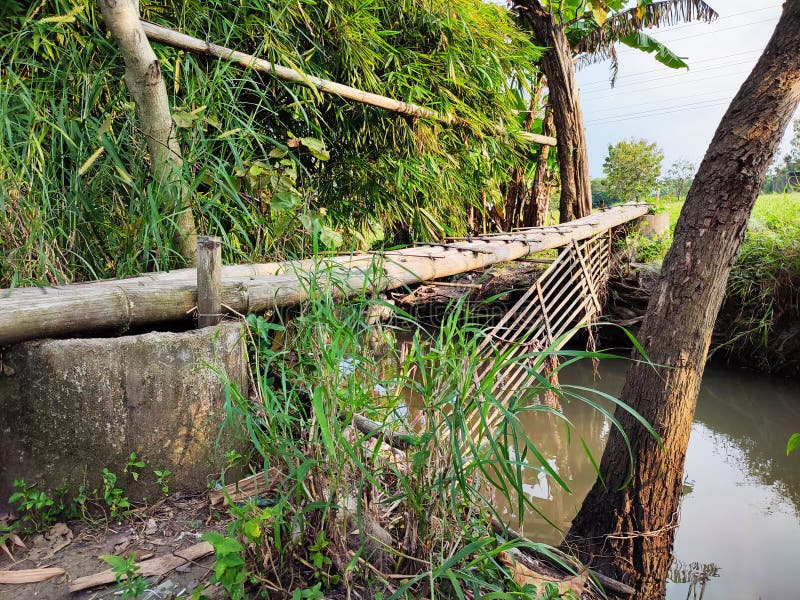 Simple Bamboo Bridge Over a Small River Stock Image - Image of ...