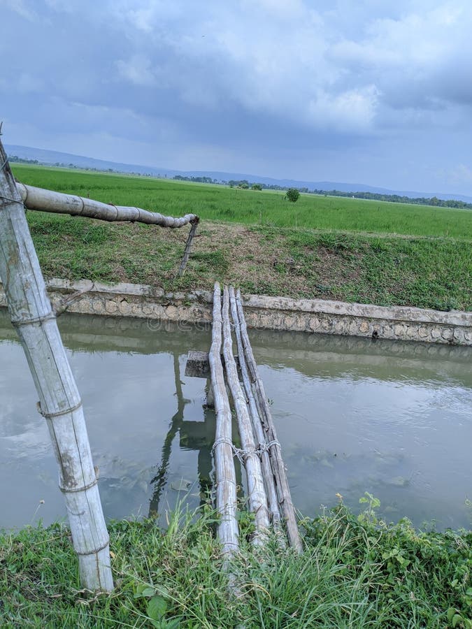 A Simple Bamboo Bridge Spans an Irrigation Canal. Stock Image - Image ...