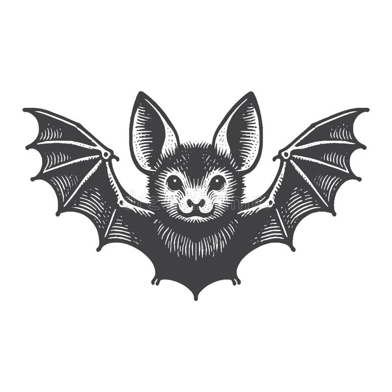 Bat Flying Front View Vintage Retro Vector Logo Design. Stock Vector ...