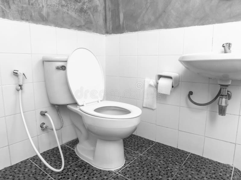 Simple bathroom interior stock image. Image of spray - 60371139