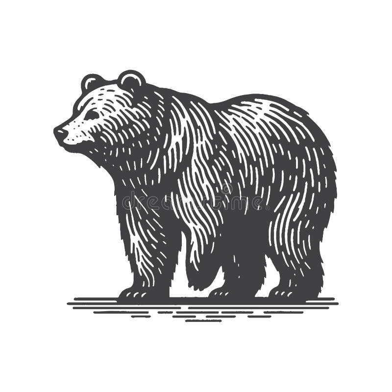 Bear Side View in Vintage Retro Vector Illustration Design. Stock ...