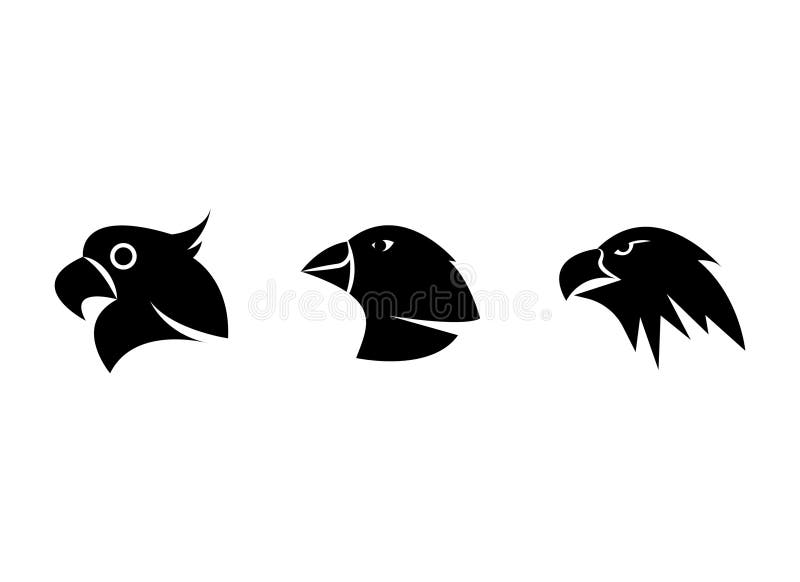 Simple Illustrations of Parrot, Sparrow and Eagle Heads Stock Vector ...