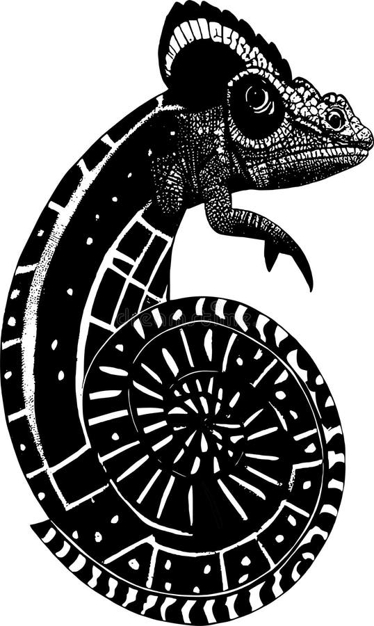 Simple Black Outline Drawing Chameleon, Isolated Element Stock Photo ...